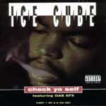Check Yo Self’: How Ice Cube’s Classic Still Checks the Culture in 2025 ...